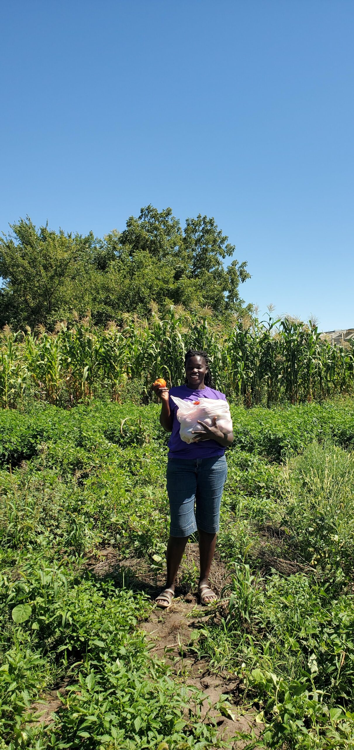 December 2024 | Urban Vibe